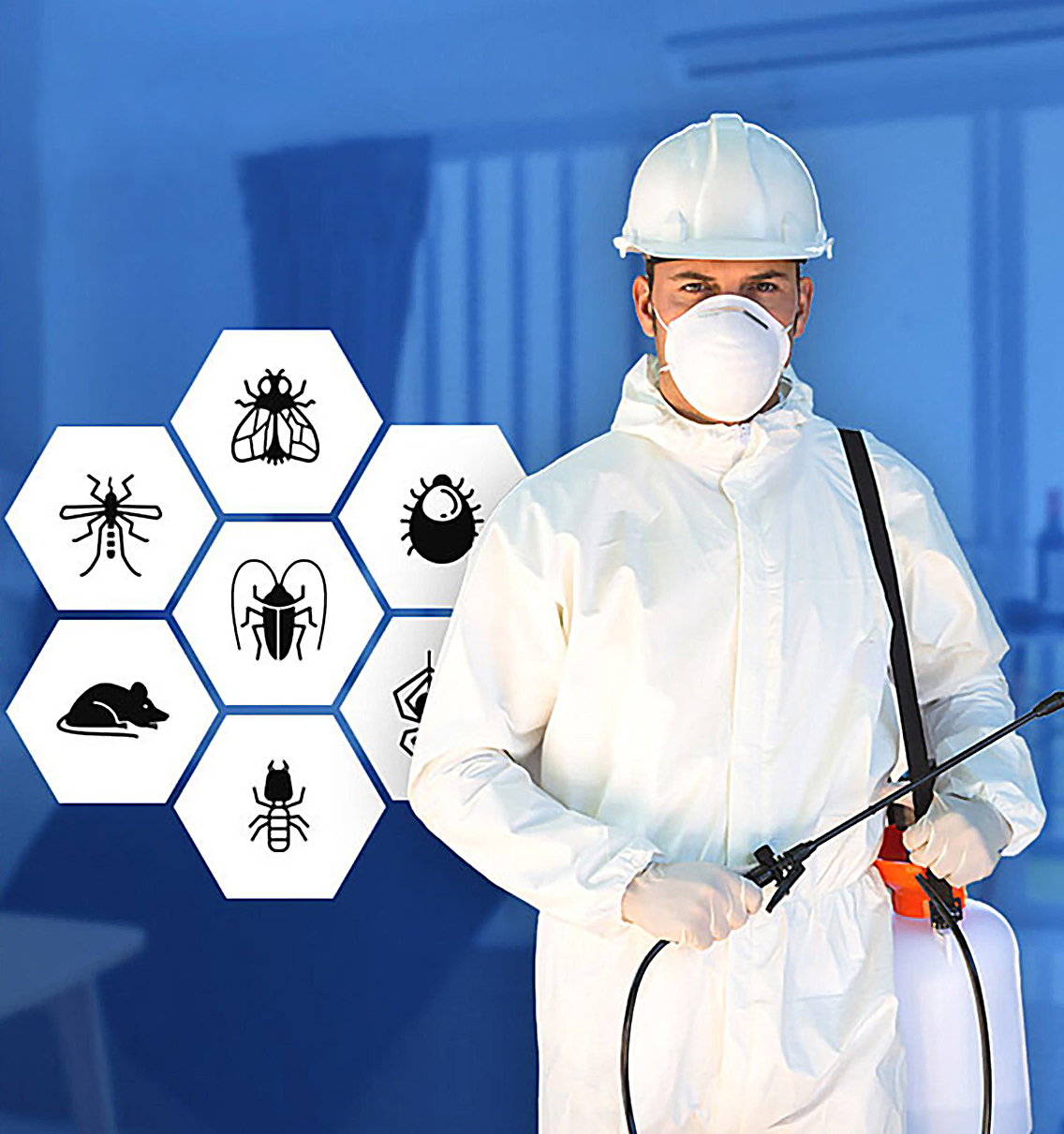 Helderberg Pest Control – Helderberg Pest Control
